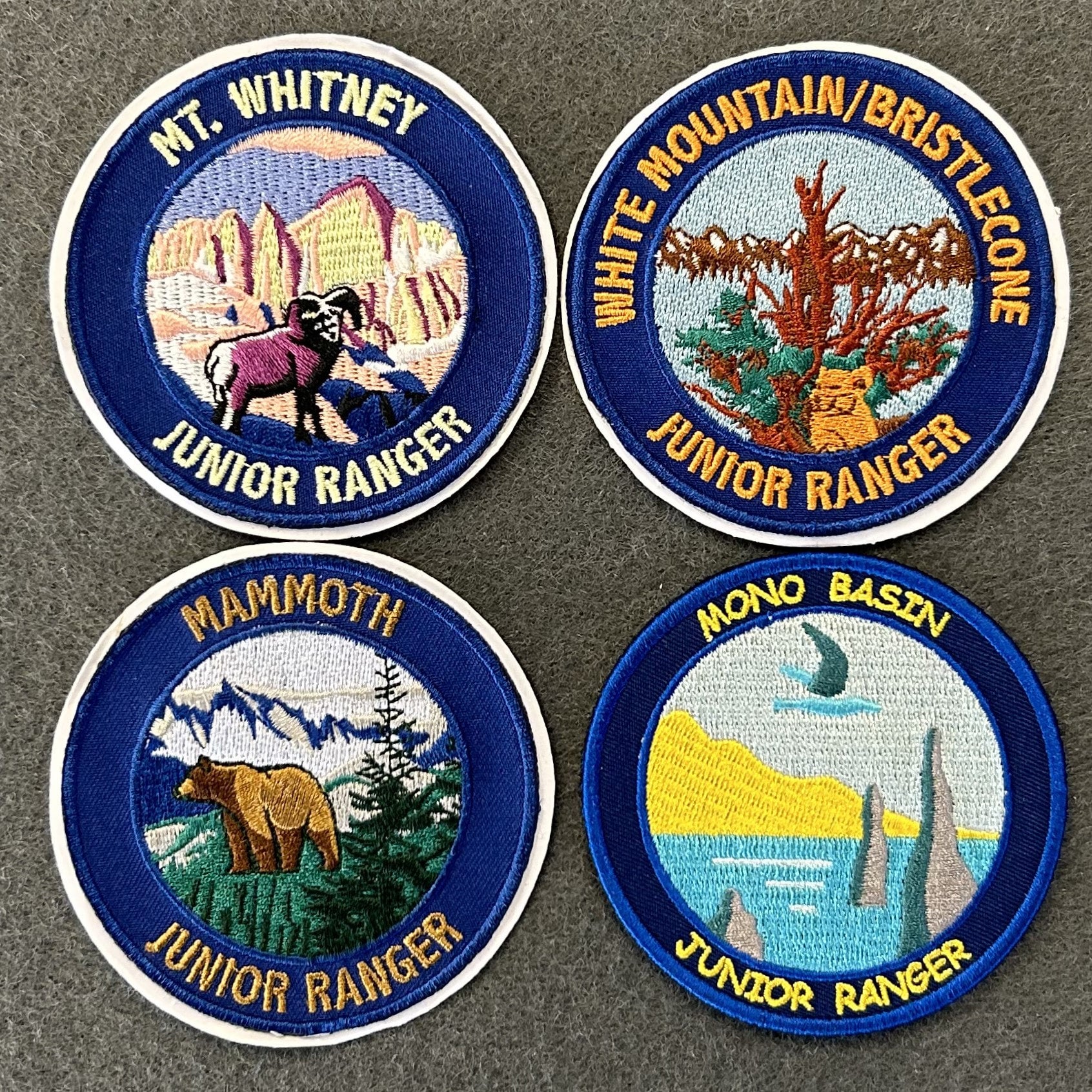 Junior Ranger Patches | Online Shop | SierraForever.org